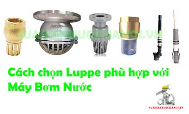 Tìm hiểu luppe tiếng anh là gì và cách phát âm đúng